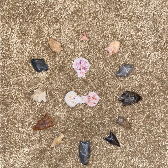 Accents | Colorful Seashell And Stone Collection Shells Are Free ...